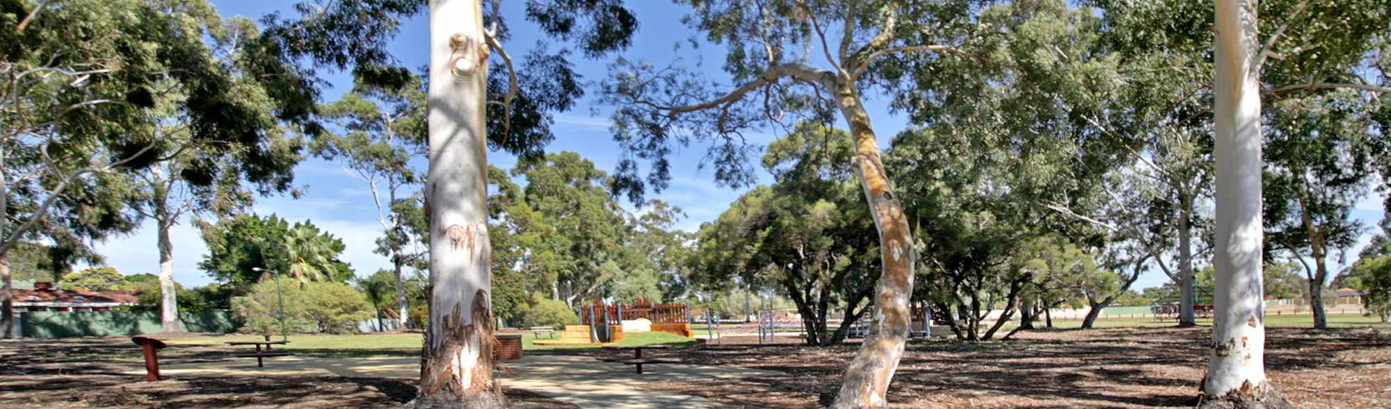 Camillo - Naked Edge Real Estate: Real Estate Agency Perth, WA